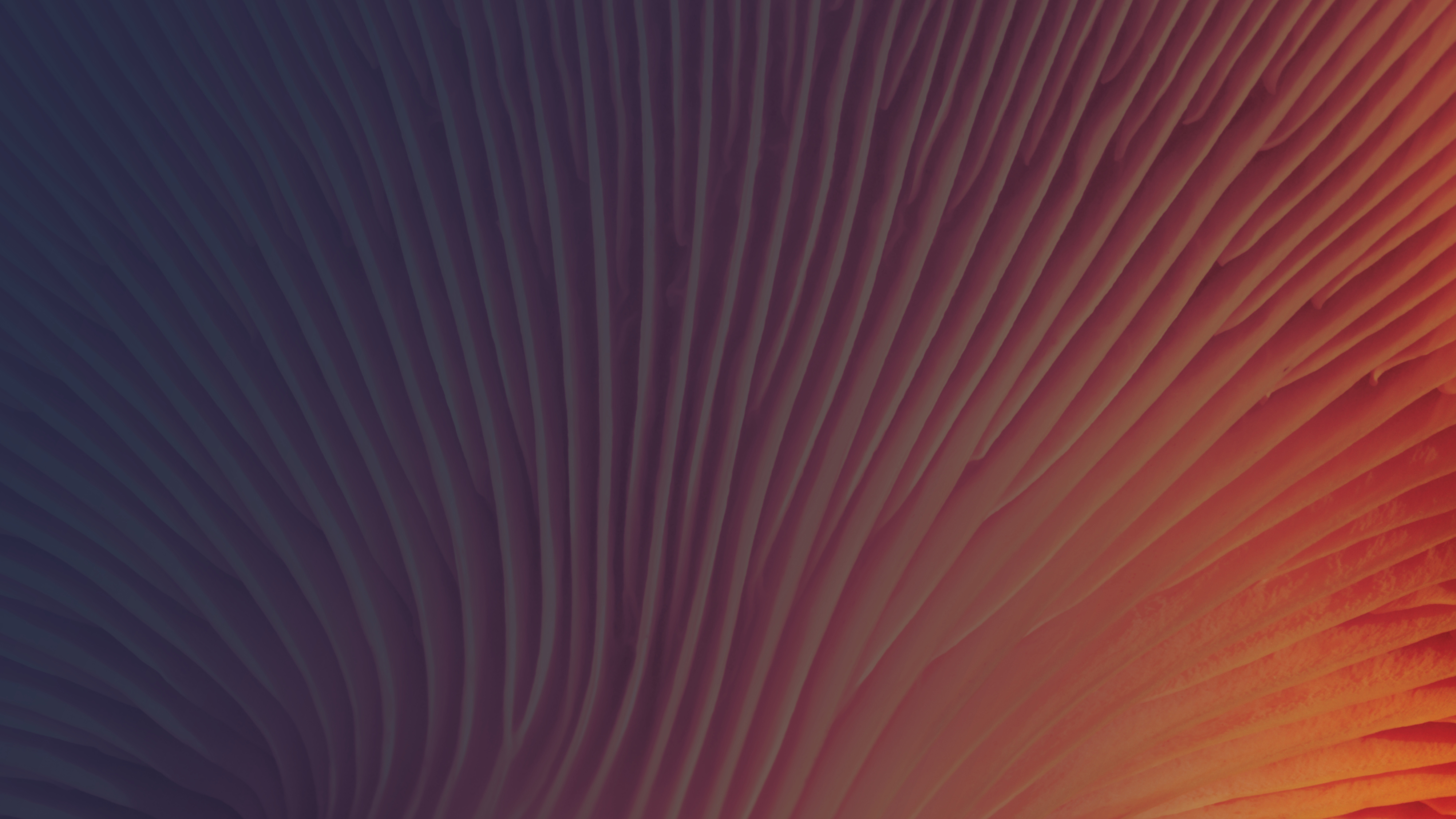 Article on the General-Purpose AI Code of Practice | Stephenson Harwood